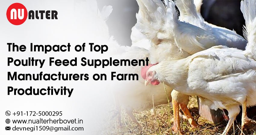 The Impact of Top Poultry Feed Supplement Manufacturers on Farm ...