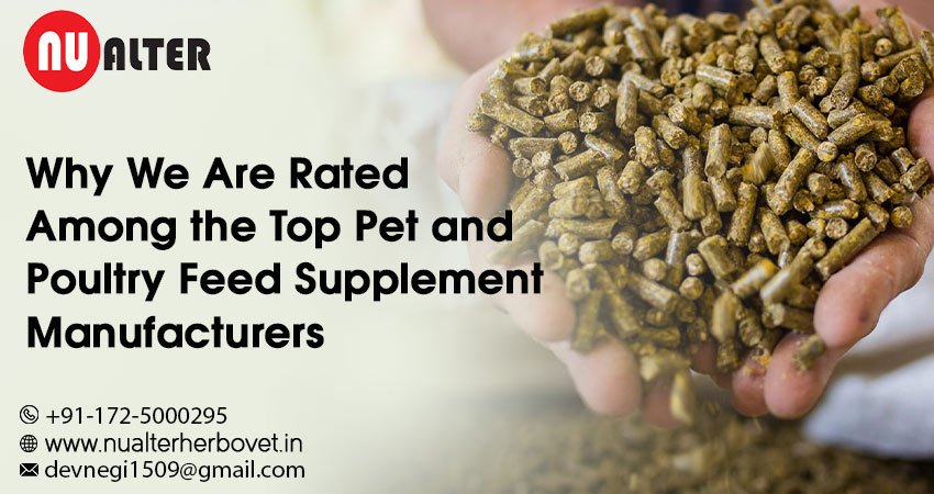 Why We Are Rated Among the Top Pet and Poultry Feed Supplement ...